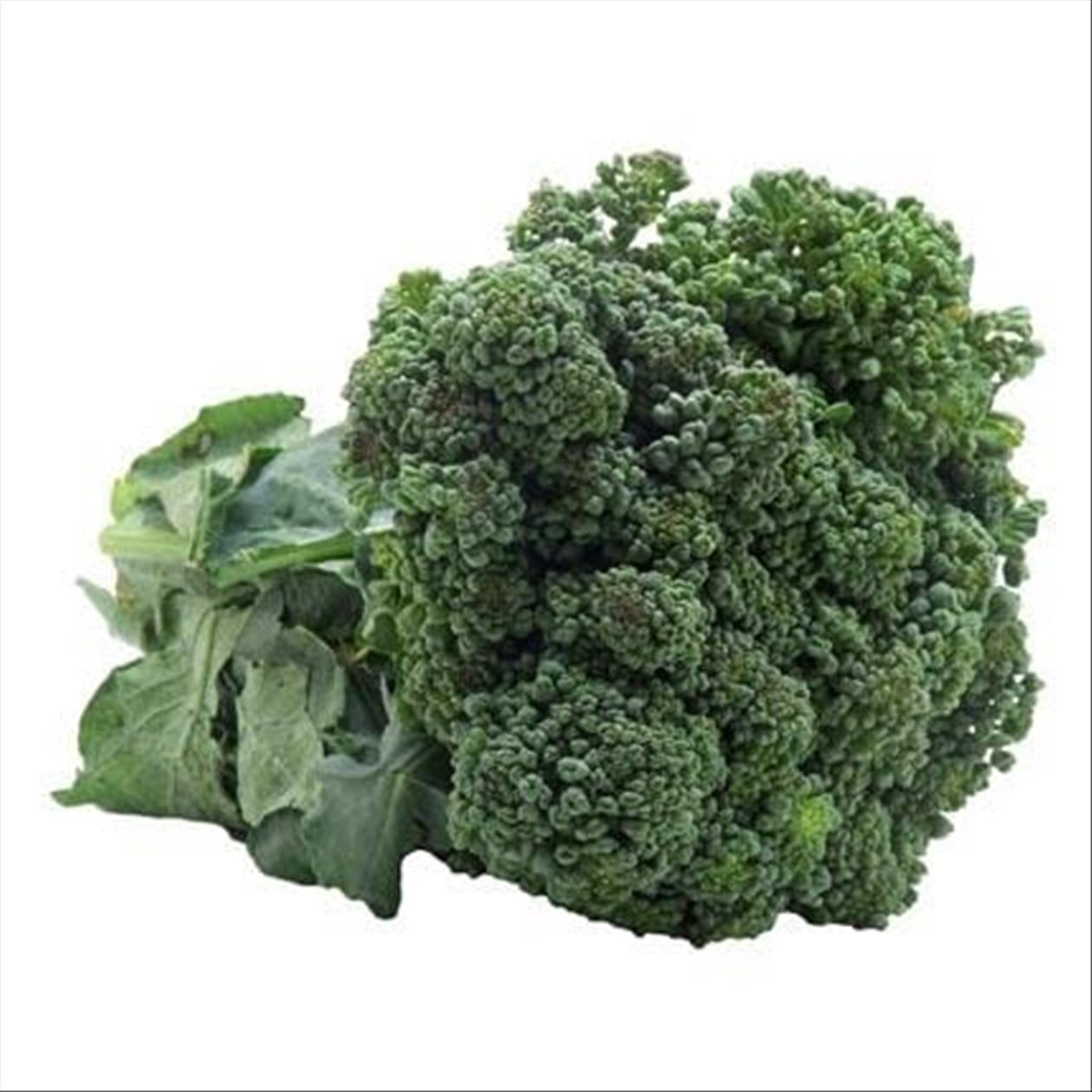 Brócolis Ramoso Orgânico Solo Vivo Unidade - Zona Sul