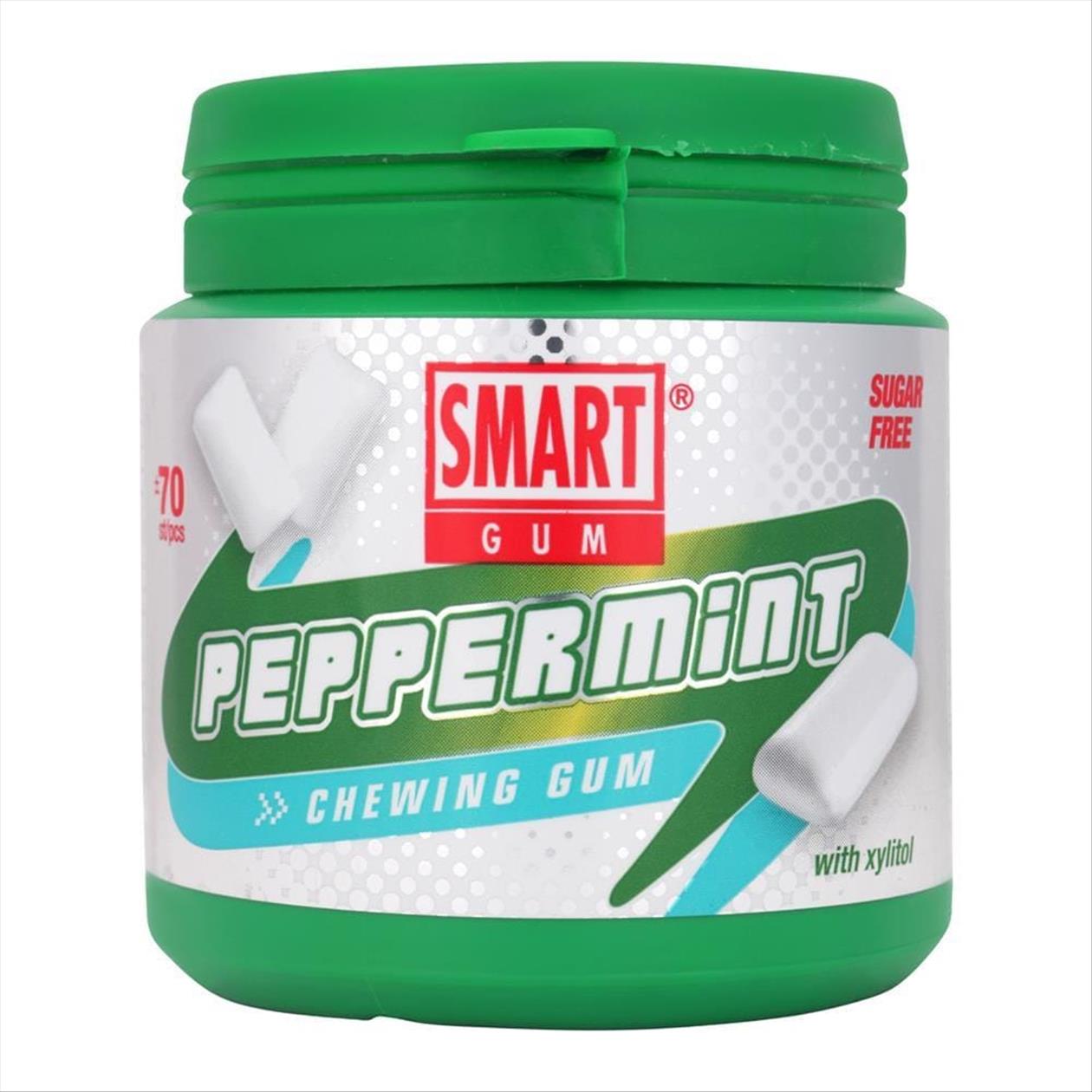 Goma De Mascar Smart Gum Peppermint Pote Com 70 Unidades 100g - Zona Sul