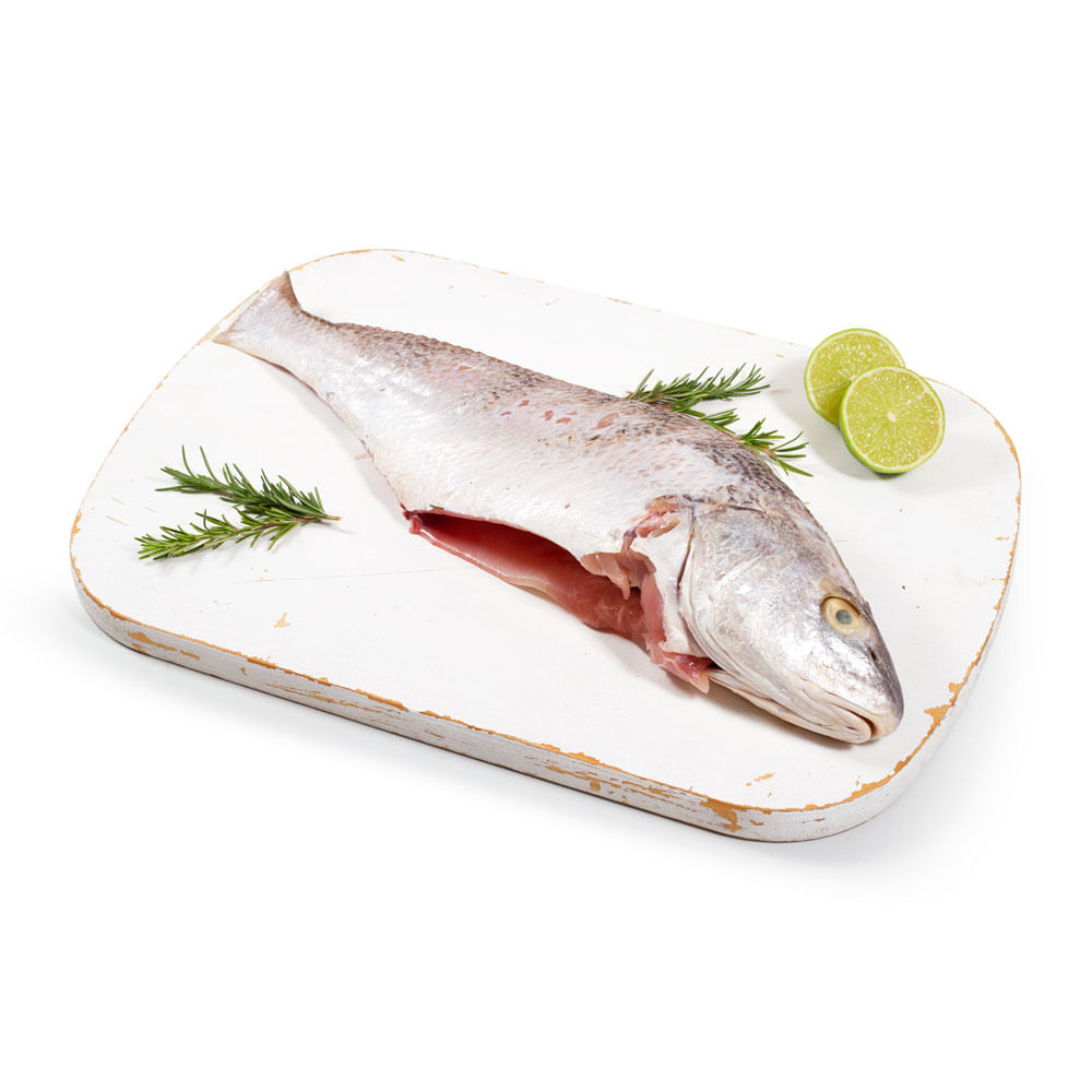 Peixe Corvina Inteira Limpa Cia do Peixe 1,5kg - Zona Sul