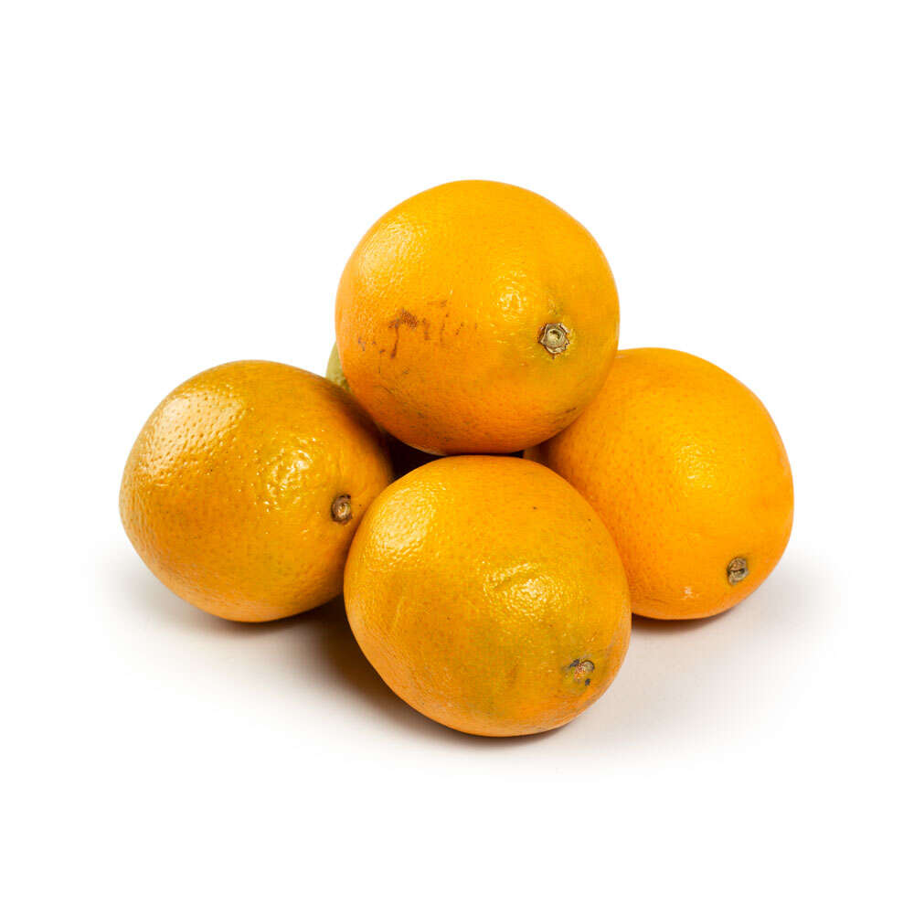 Laranja Pera Orgânica Bio Vida 500g - Zona Sul