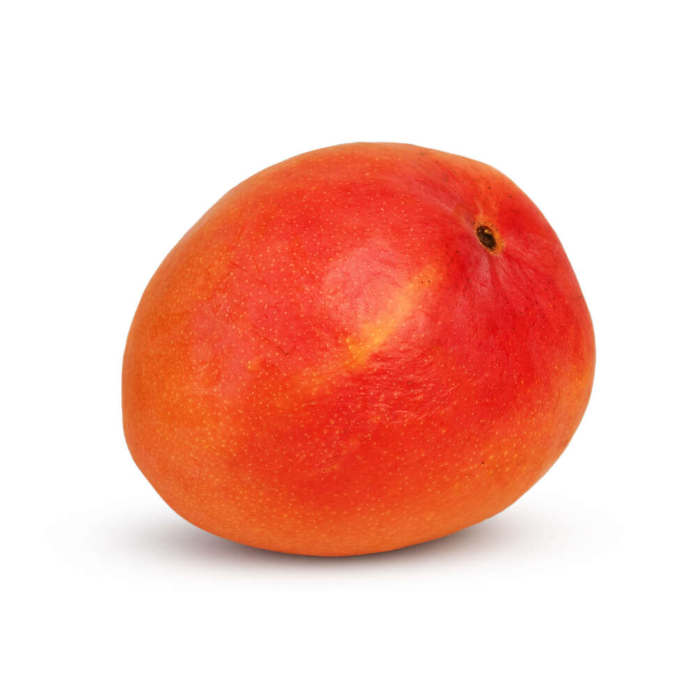 Manga Shelly 450g - Zona Sul